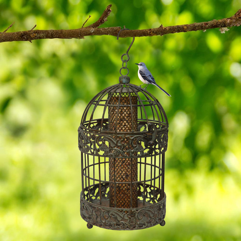 Fleur De Lis Living Hartzell Squirrel Proof Caged Hopper Bird Feeder ...