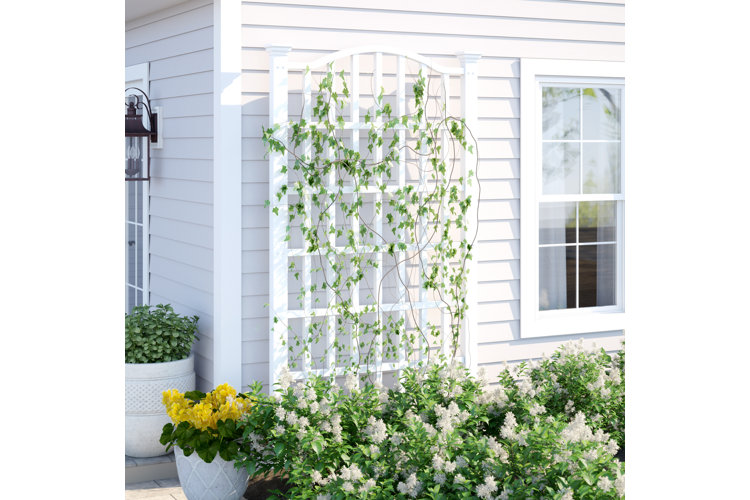 What Is a Trellis? - Wayfair Canada