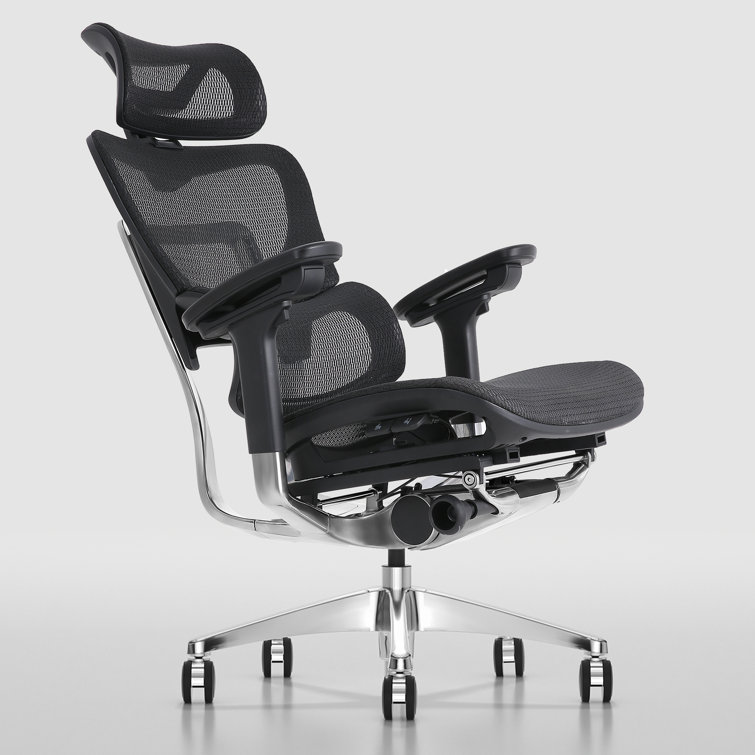 Odinlake Ergo Plus 743 Ergonomic Office Chair High Back Business Mesh ...