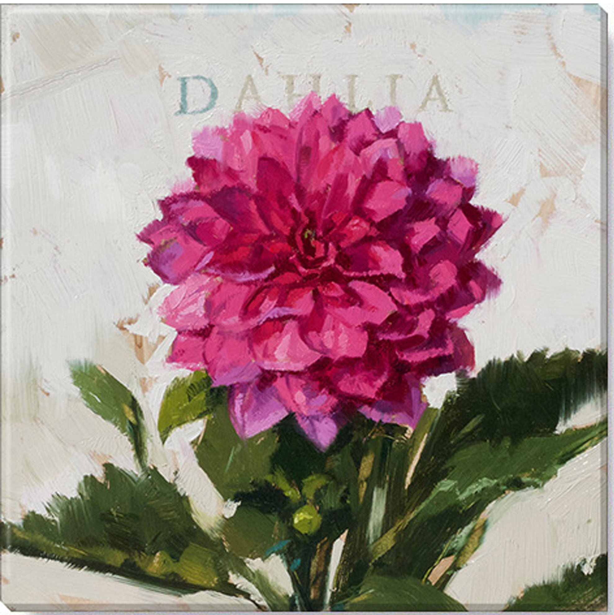 Darren Gygi Home Collection Dahlia Giclee Wall Art by Darren Gygi ...