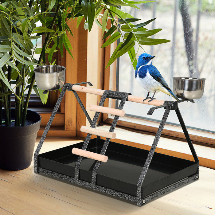 Pawhut 10.75'' Wood Bird Play Stand for Table Top & Reviews | Wayfair