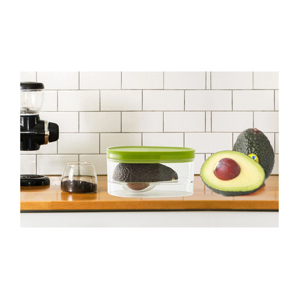 Prep & Savour Automn Avocado Food Storage Container | Wayfair
