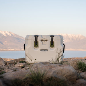 Lifetime 28 Qt. Ice Chest Cooler & Reviews | Wayfair