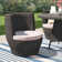 Brayden Studio® Landers Patio Chair with Cushion & Reviews | Wayfair
