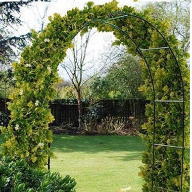 Lily Manor Quatrefoil Scroll Arch & Reviews | Wayfair.co.uk
