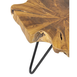 Union Rustic Claverton Down End Table & Reviews | Wayfair