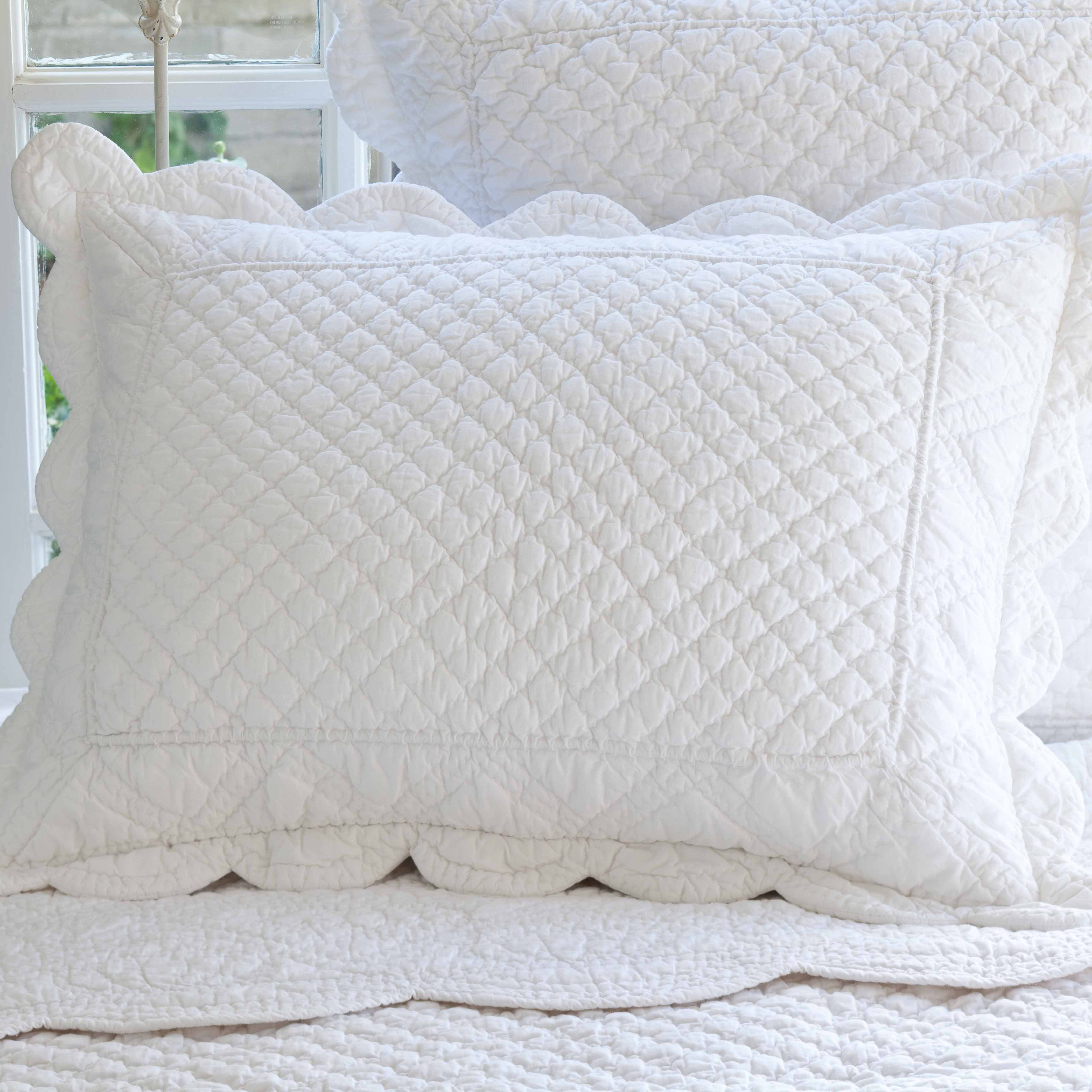 Taylor Linens Laura 100% Cotton Pillow Sham & Reviews | Wayfair