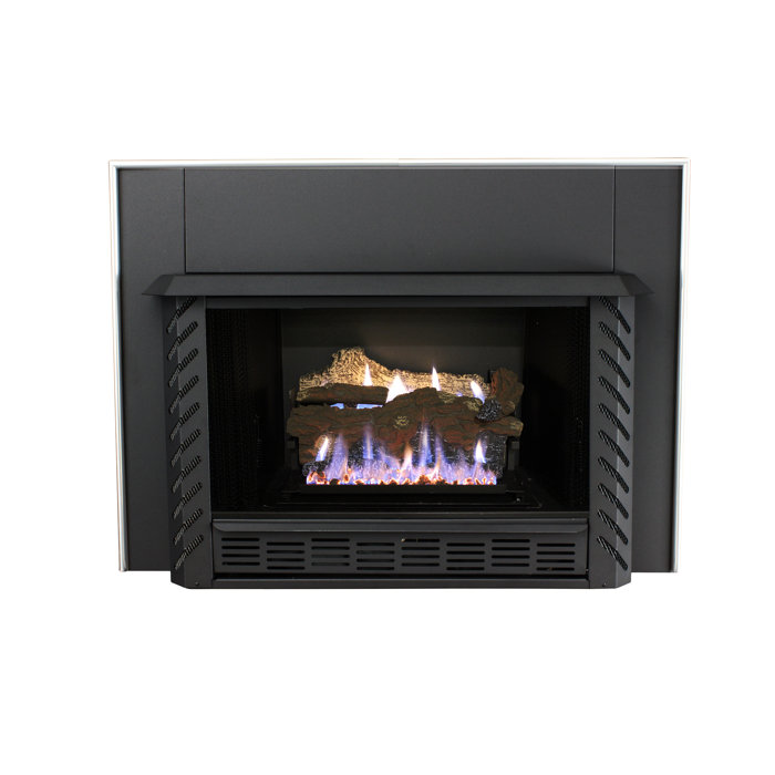 Ashley Hearth Vent Free Natural Gas/Propane Fireplace Insert & Reviews ...