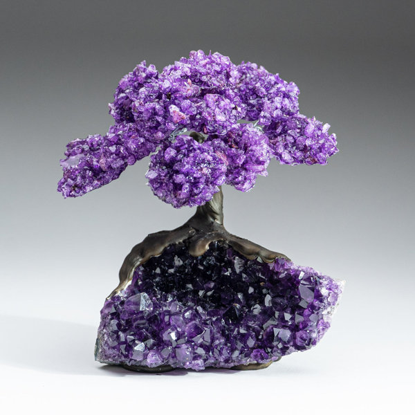 Astro Gallery of Gems Large Amethyst Clustered Gemstone Tree on ...