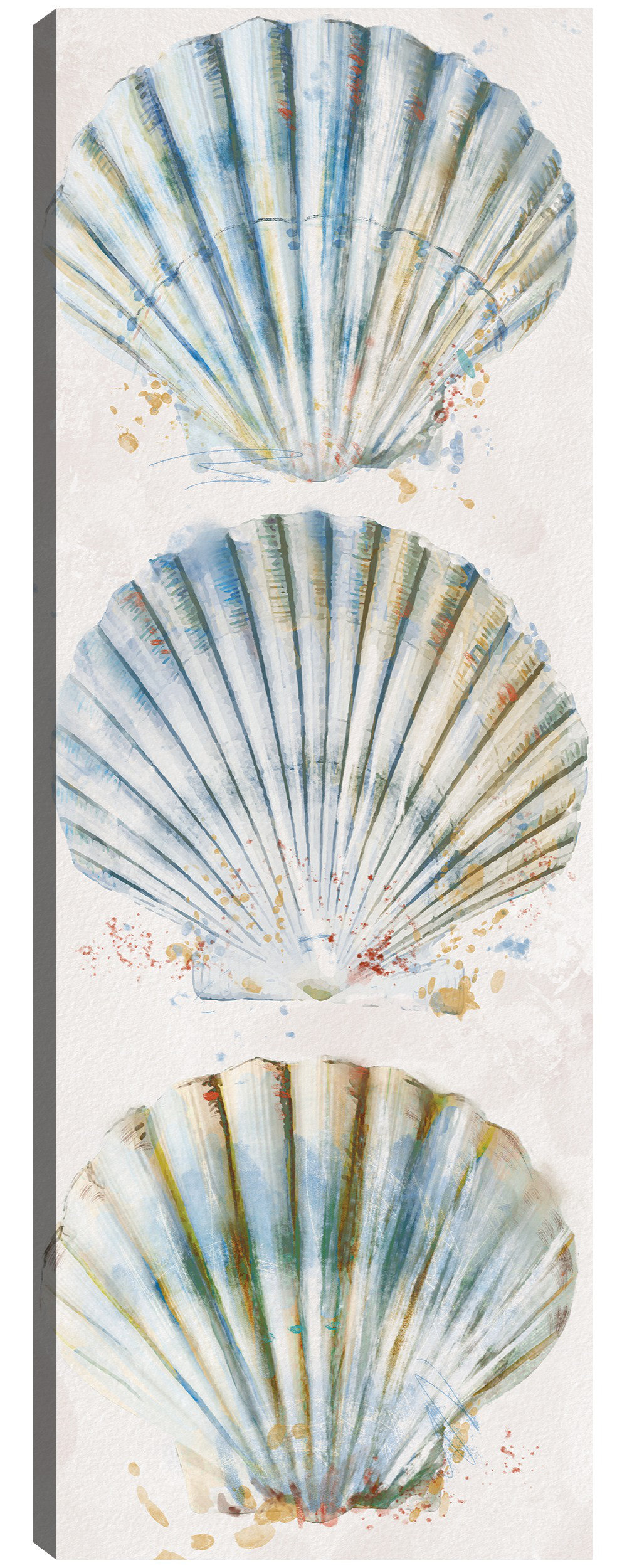 Highland Dunes Shell Panel I By Studio Arts Canvas Art Print | Wayfair