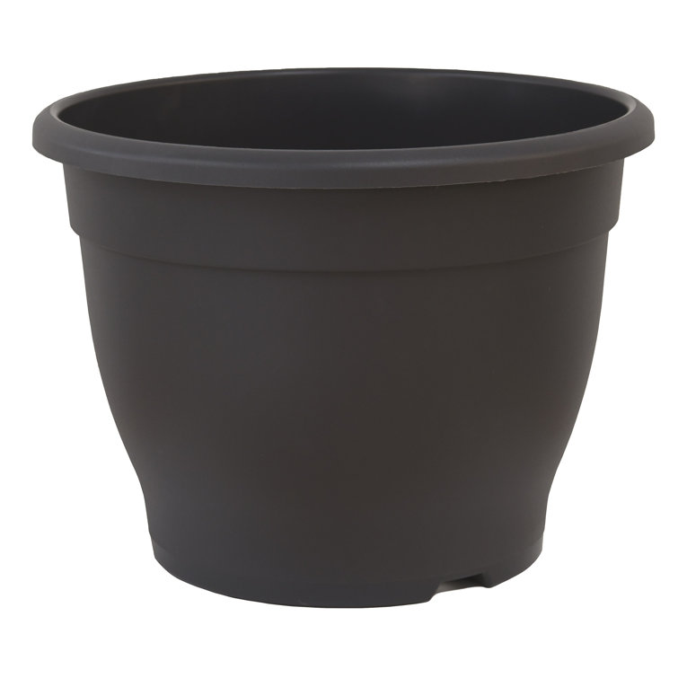 Wayfair Samples Planter Sabina Dark Grey (anthracite) 32cm Pot ...