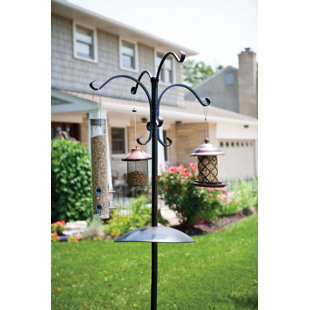 Bird Feeders, Bird Tables & Bird Feeding Boxes | Wayfair.co.uk