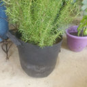 Smart Pot Pot Liner & Reviews | Wayfair