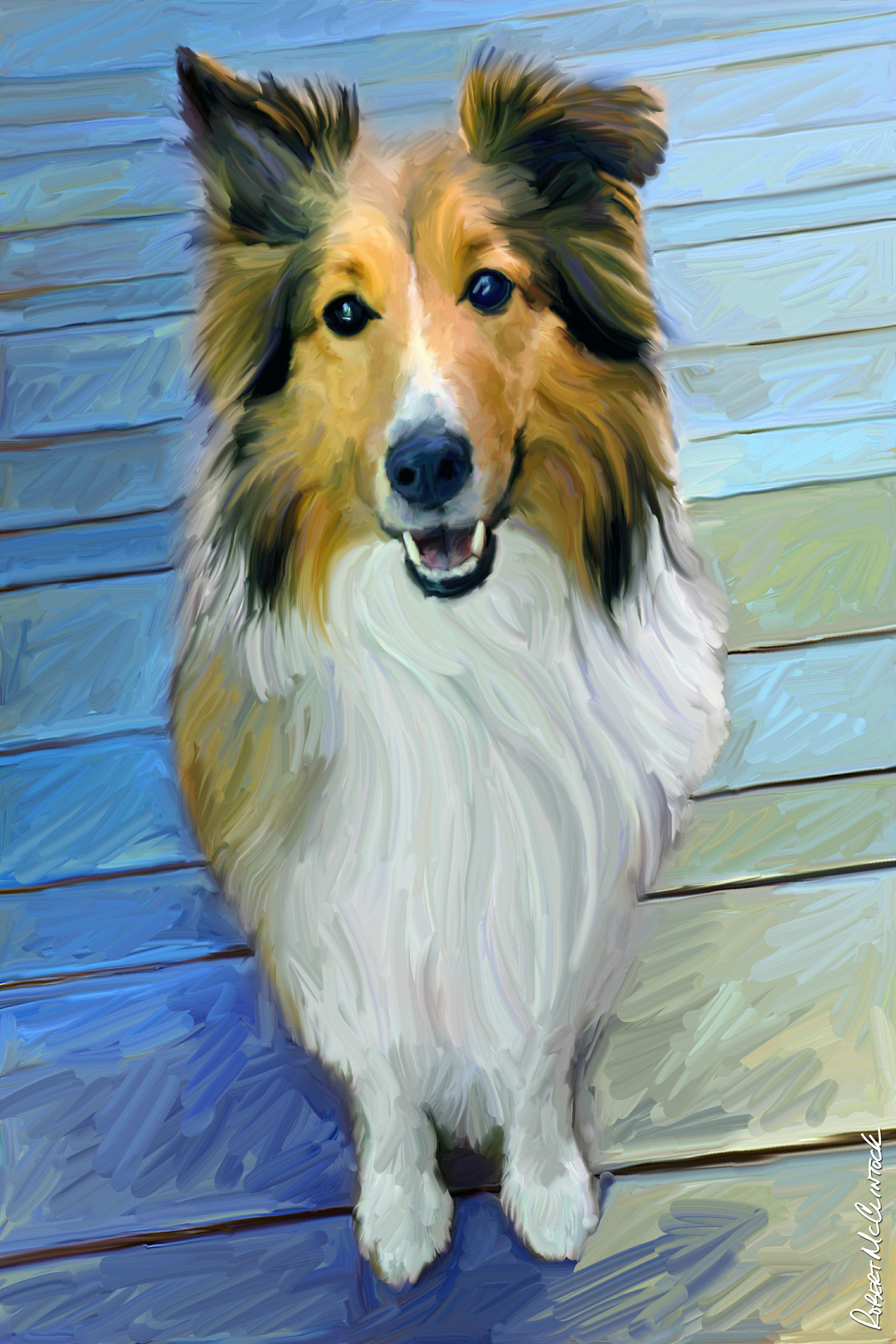 Red Barrel Studio® Sheltie The Eyes Have It On Canvas by Robert ...