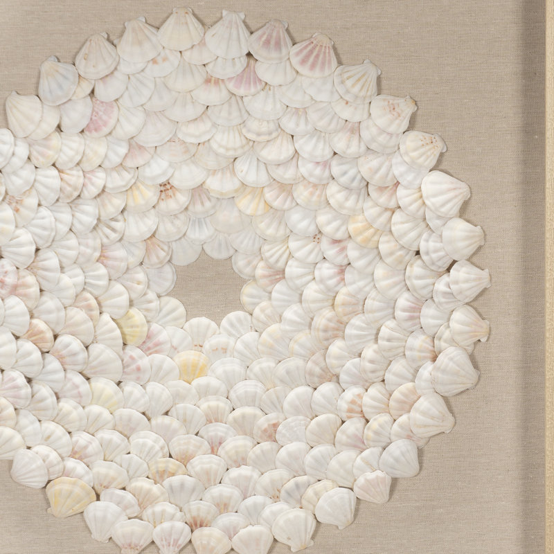 Rosecliff Heights Shells Wall Décor | Wayfair