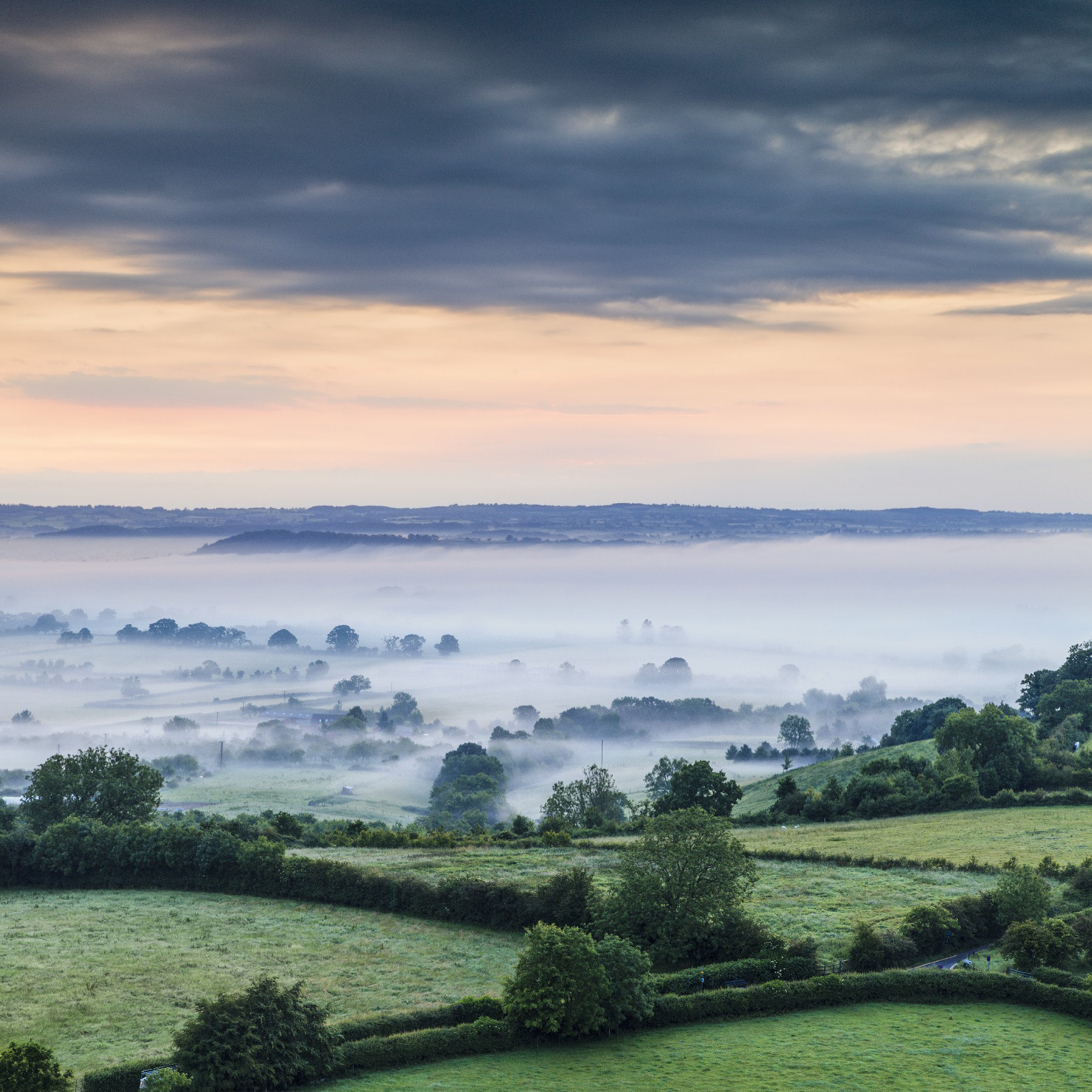 Millwood Pines Somerset Levels, UK On Canvas by Travellinglight ...