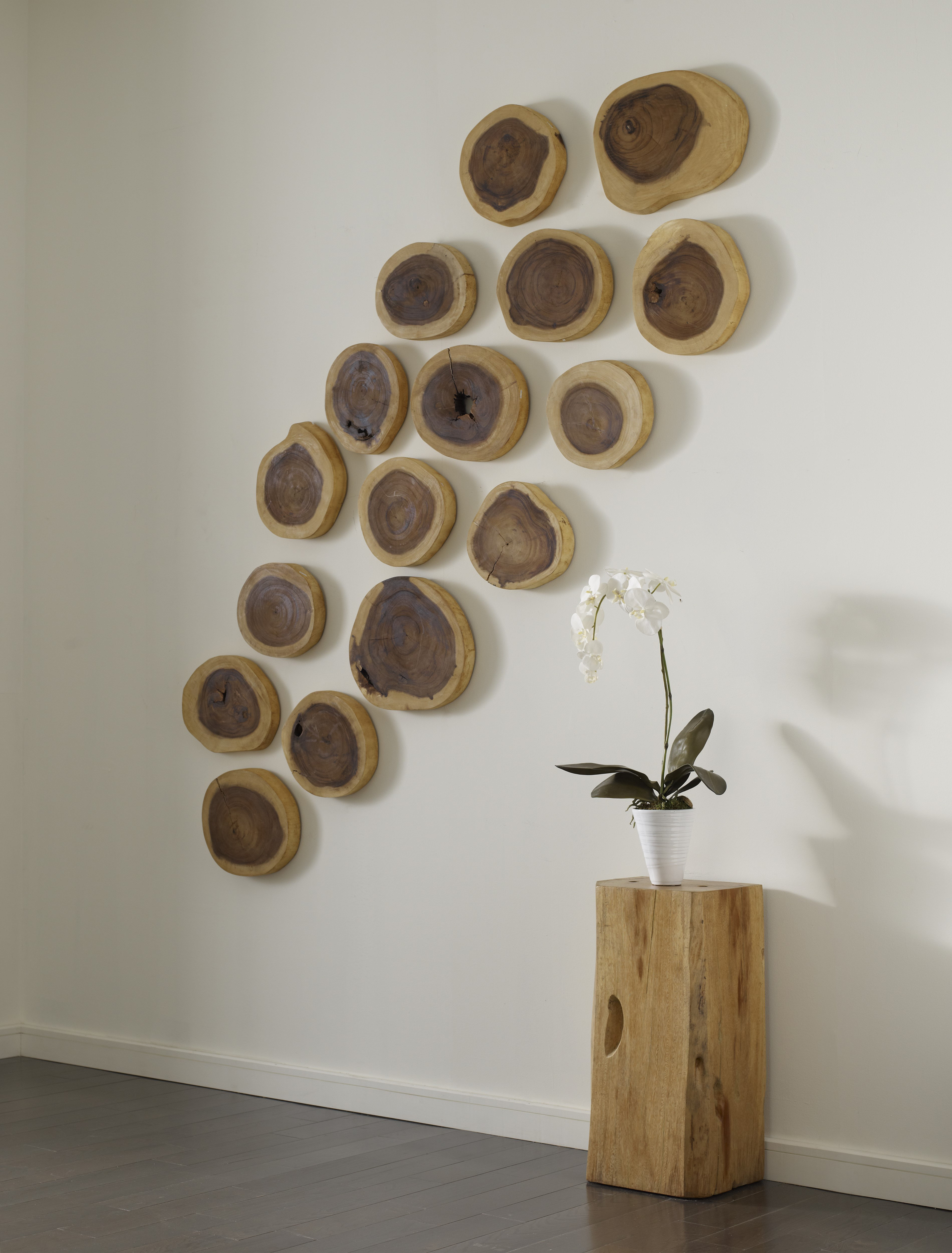 Union Rustic Slice Wall Décor & Reviews | Wayfair