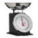 Symple Stuff Mechanical Kitchen Scale & Reviews | Wayfair.co.uk