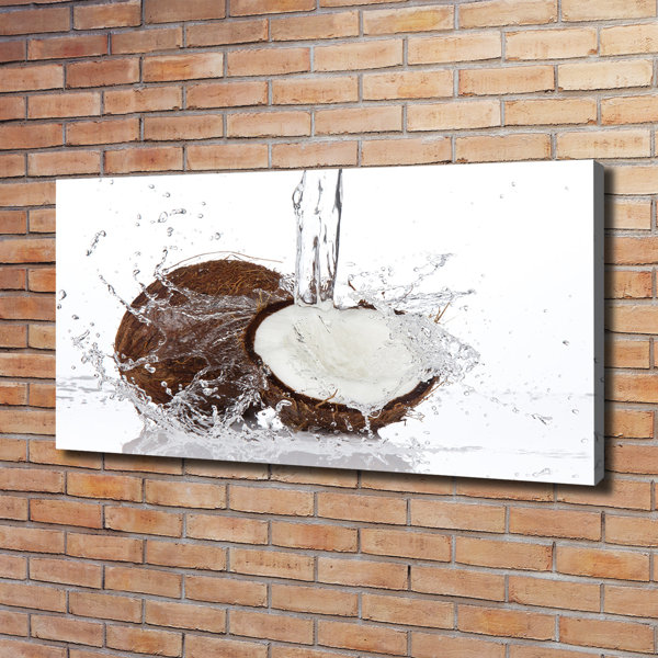 Brayden Studio Coconut - Wrapped Canvas Art Prints | Wayfair.co.uk