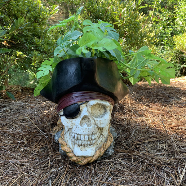 Pirate-statue | Wayfair