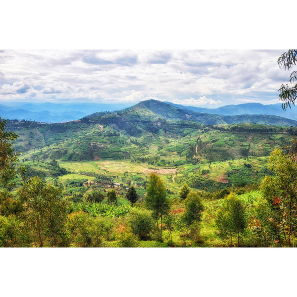Millwood Pines Rural Landscape Rwanda by - Wrapped Canvas Photograph ...