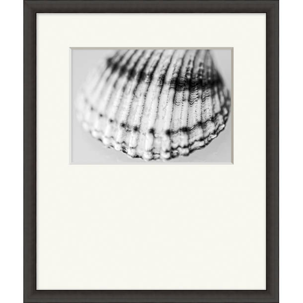 Wendover Art Group Shell Mates - Painting Print on Canvas | Perigold