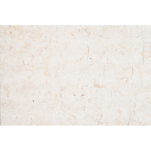 Stone & Tile Shoppe, Inc. 16" x 16" Limestone Stone Look Wall & Floor ...