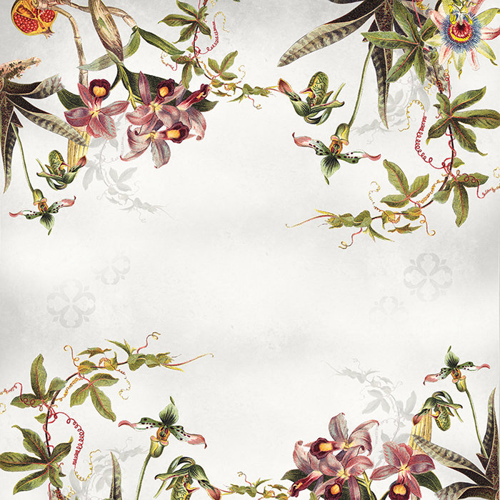 Marlow Home Co. Crave Wallpaper | Wayfair.co.uk