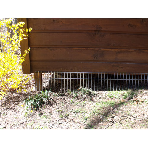 Dig Defence Large Animal Barrier & Reviews | Wayfair