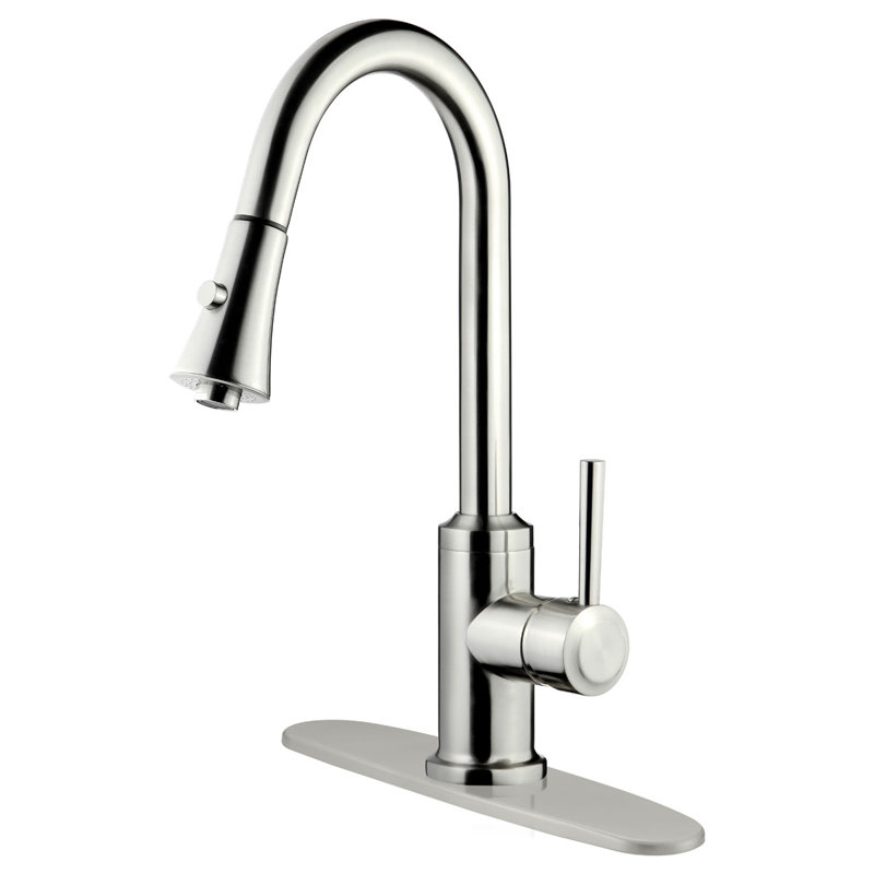 LessCare Pull Out Kitchen Faucet & Reviews | Wayfair