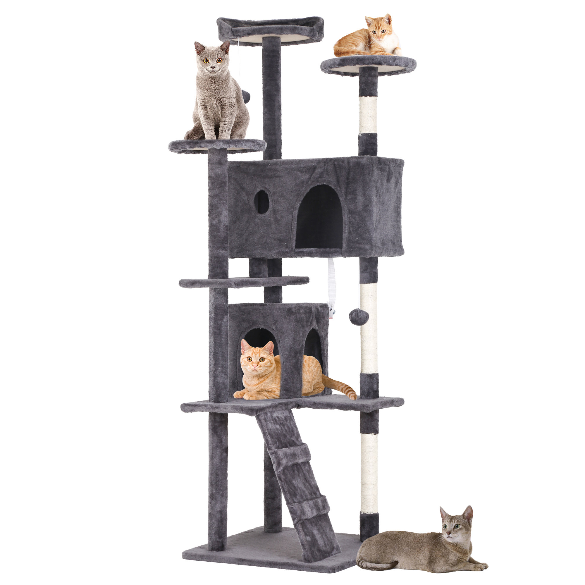 Tucker Murphy Pet™ 54' Cithlali Indoor Cat Tree | Wayfair
