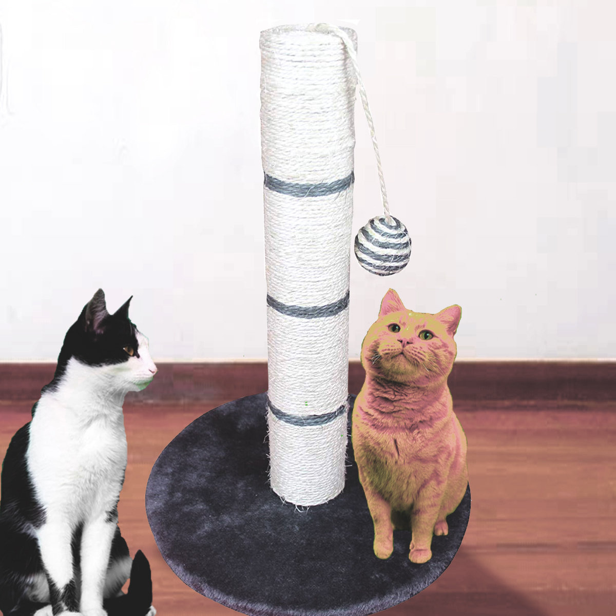 Archie & Oscar Newman Scratching Post | Wayfair.co.uk
