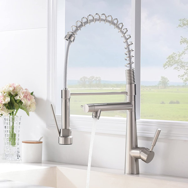VAPSINT Pull Down Kitchen Faucet | Wayfair