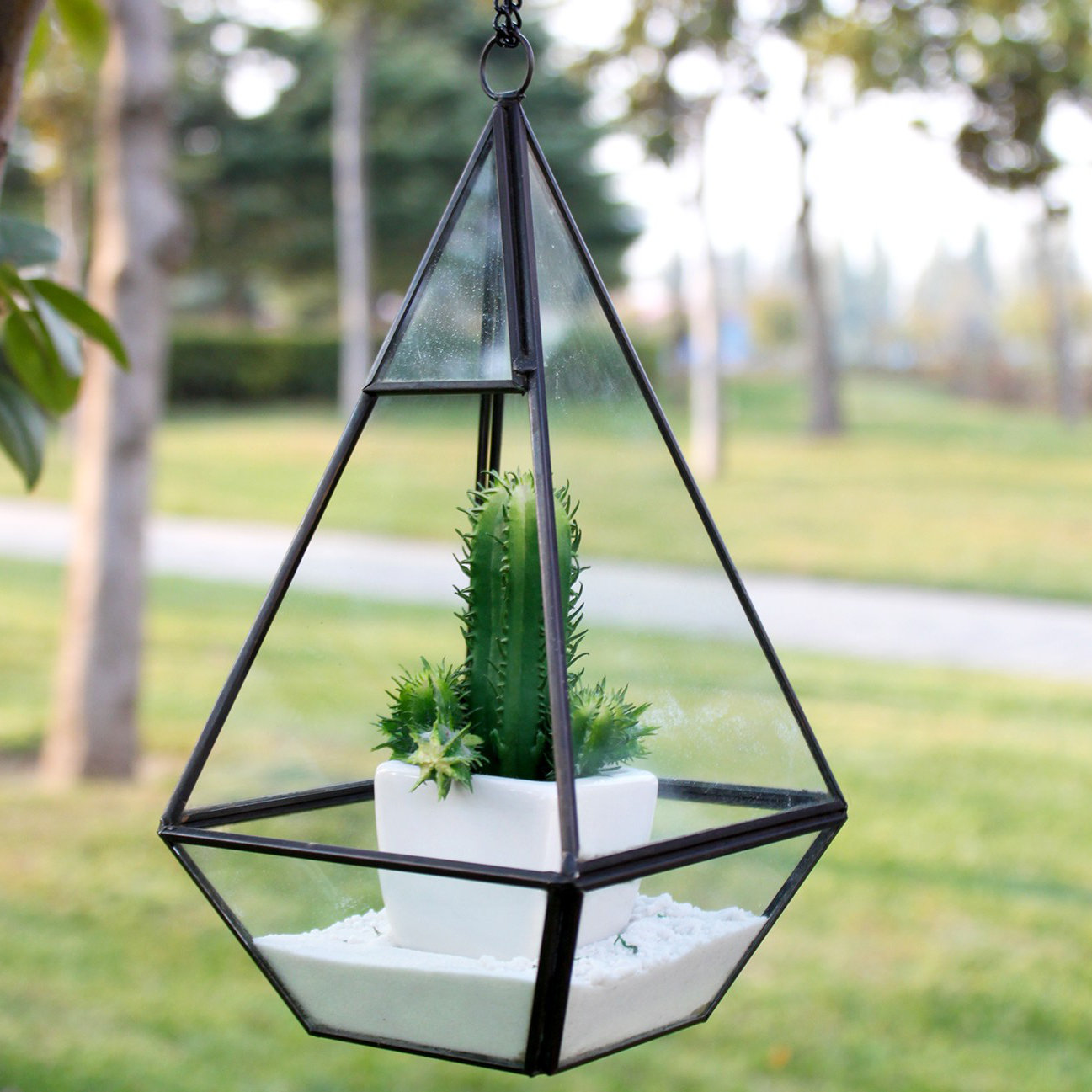 Mercer41 Raf Skinny Pyramid Glass Terrarium | Wayfair
