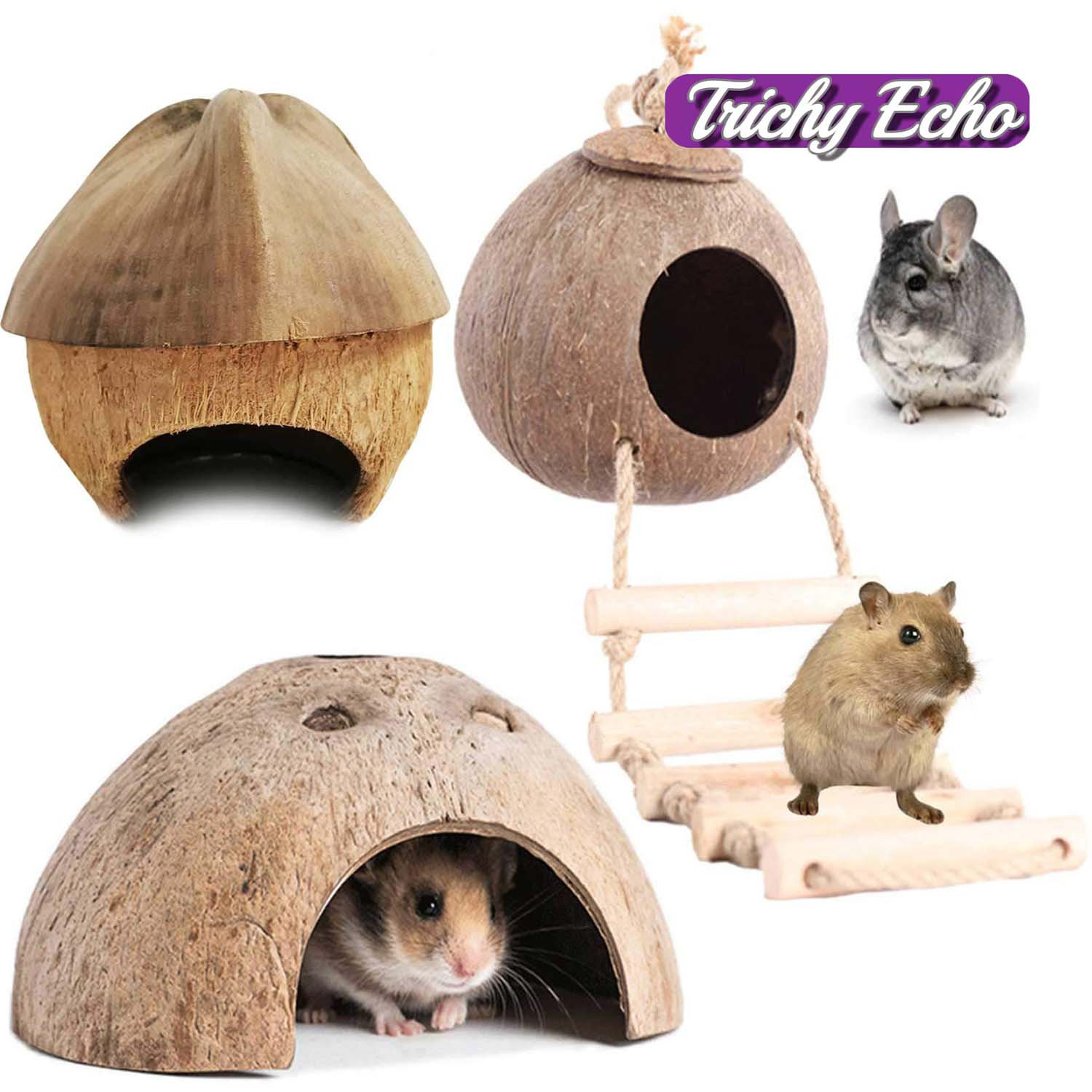 Trichy Echo Hamster/Gerbil Cage Accessory | Wayfair