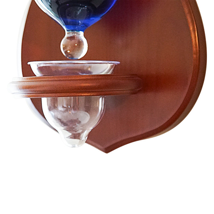 Ambient Weather Wall Mounted Weather Station | Wayfair