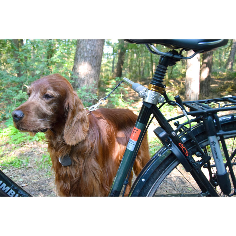 Archie & Oscar Cousins Dog Bicycle Leash | Wayfair.co.uk