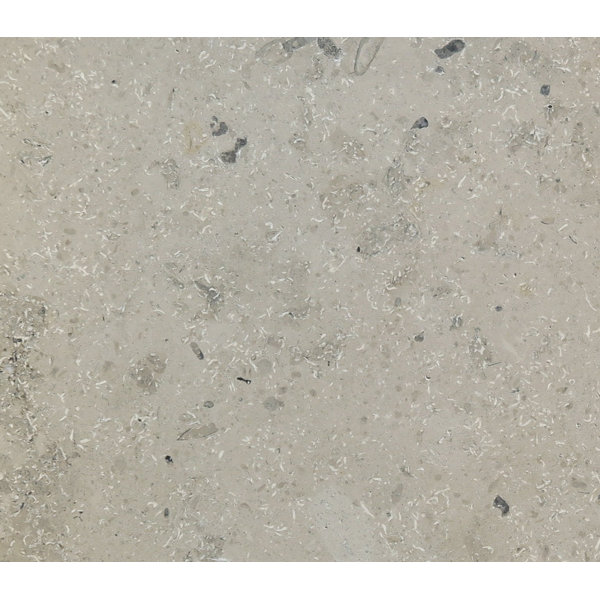 Stone & Tile Shoppe, Inc. 12" x 12" Limestone Stone Look Wall & Floor ...