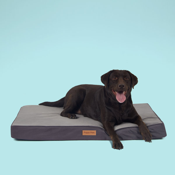Puppy Paw Orthopedic Memory Foam Classic Dog Pad & Reviews | Wayfair