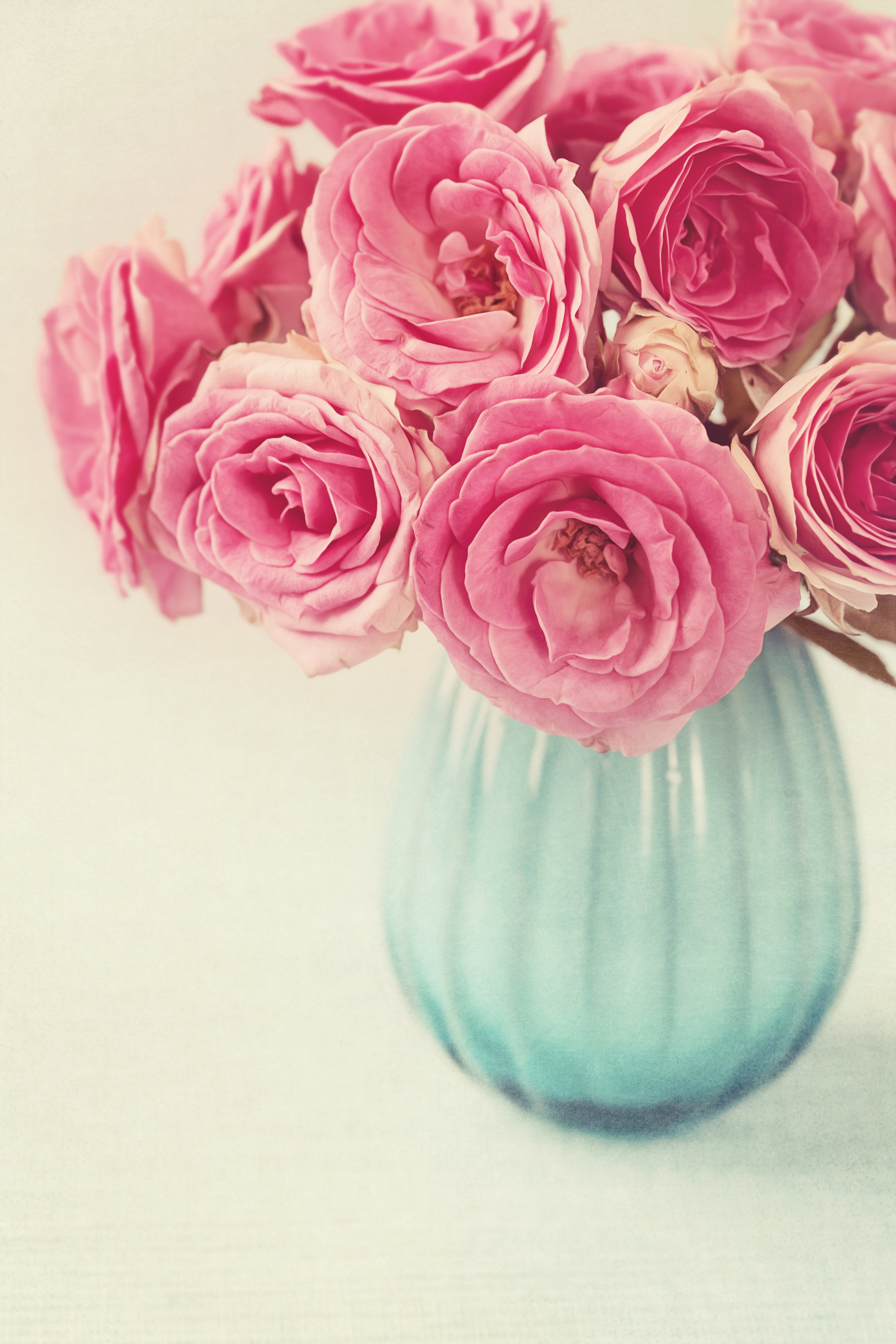 Ebern Designs Pink Flowers - Wrapped Canvas Photograph | Wayfair