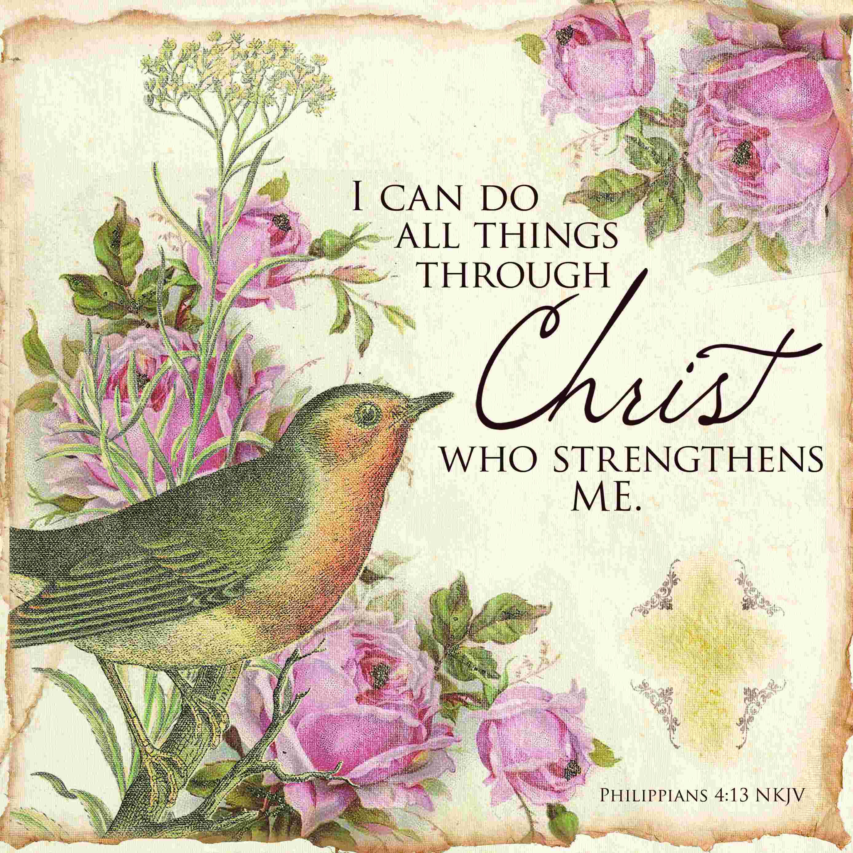 Trinx Philippians 413 Bird - Wrapped Canvas Print | Wayfair