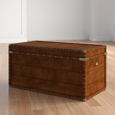 Breakwater Bay Oguz Vintage Trunk & Reviews | Wayfair