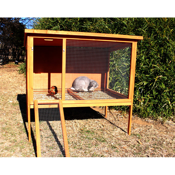 Tucker Murphy Pet™ Averhoff Weather Resistant Rabbit Hutch with Ramp ...