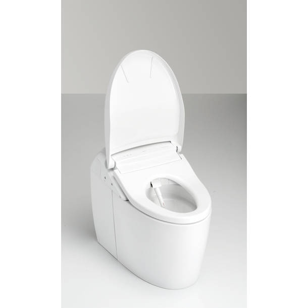 TOTO Neorest® Elongated Toilet Seat and Lid | Wayfair