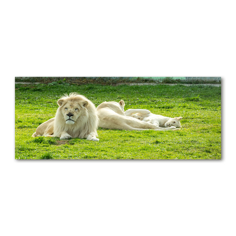 Brayden Studio Beige Lions - Unframed Art Prints on Canvas | Wayfair.co.uk