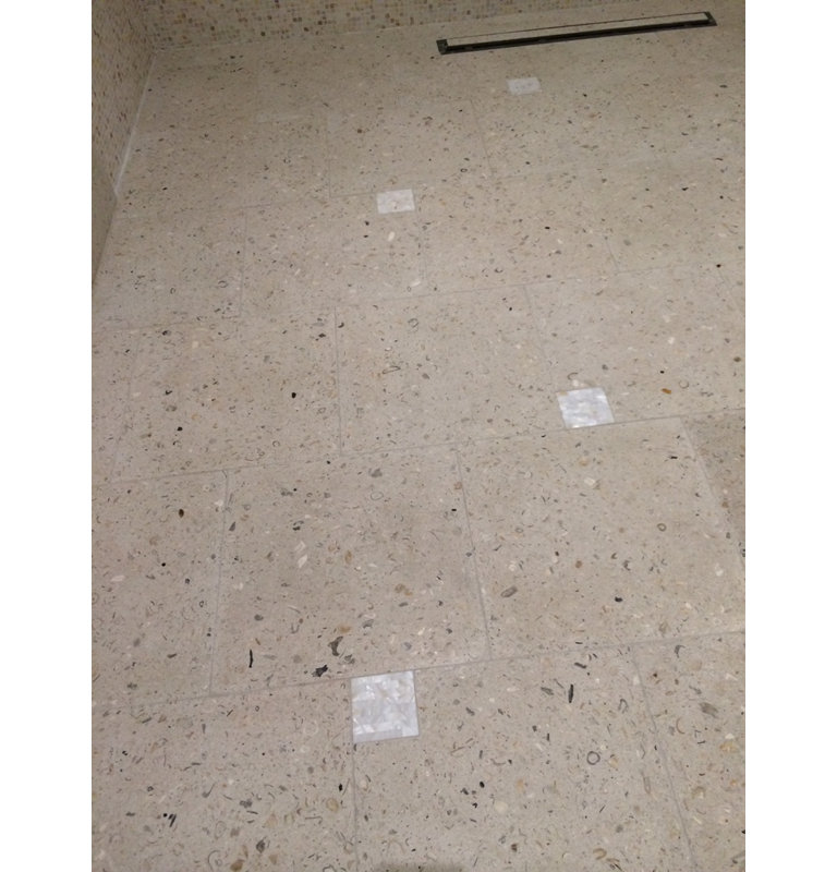 Matrix-Z SeaTile 4"x 4" Natural Shell Listello/Border Tile in White ...