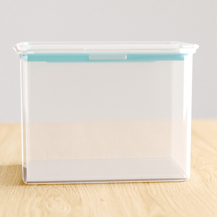 Dotted Line™ Clyde Box Food Storage Container & Reviews | Wayfair
