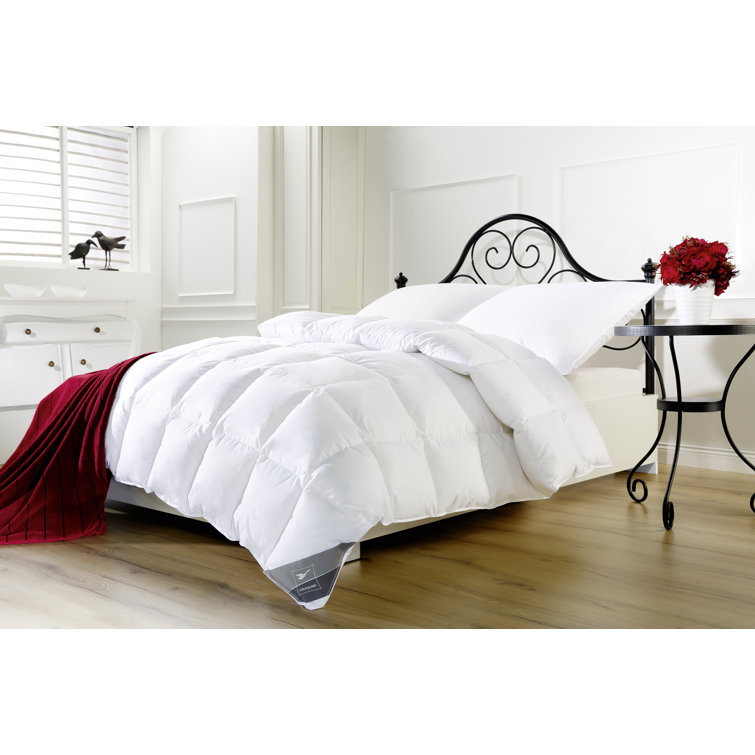 Häussling Cuddly Dream Medium Box-Stitch Duvet | Wayfair.co.uk