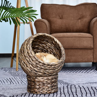 Wayfair | Wicker Cat Beds You'll Love in 2023