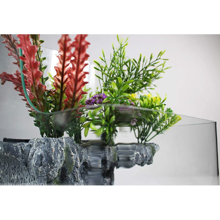 Penn Plax 1 Gallon AquaTerrium™ Aquarium Tank & Reviews | Wayfair